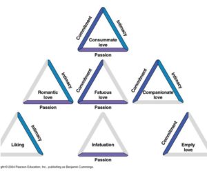 The Psychology of Love: Teaching Tips for the Science of Relationships ...