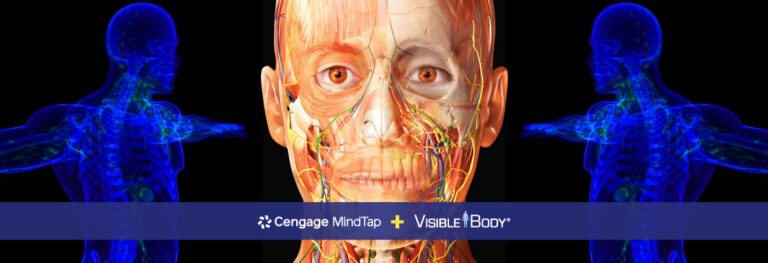 A Deep Dive into MindTap for Anatomy & Physiology - Visible Body